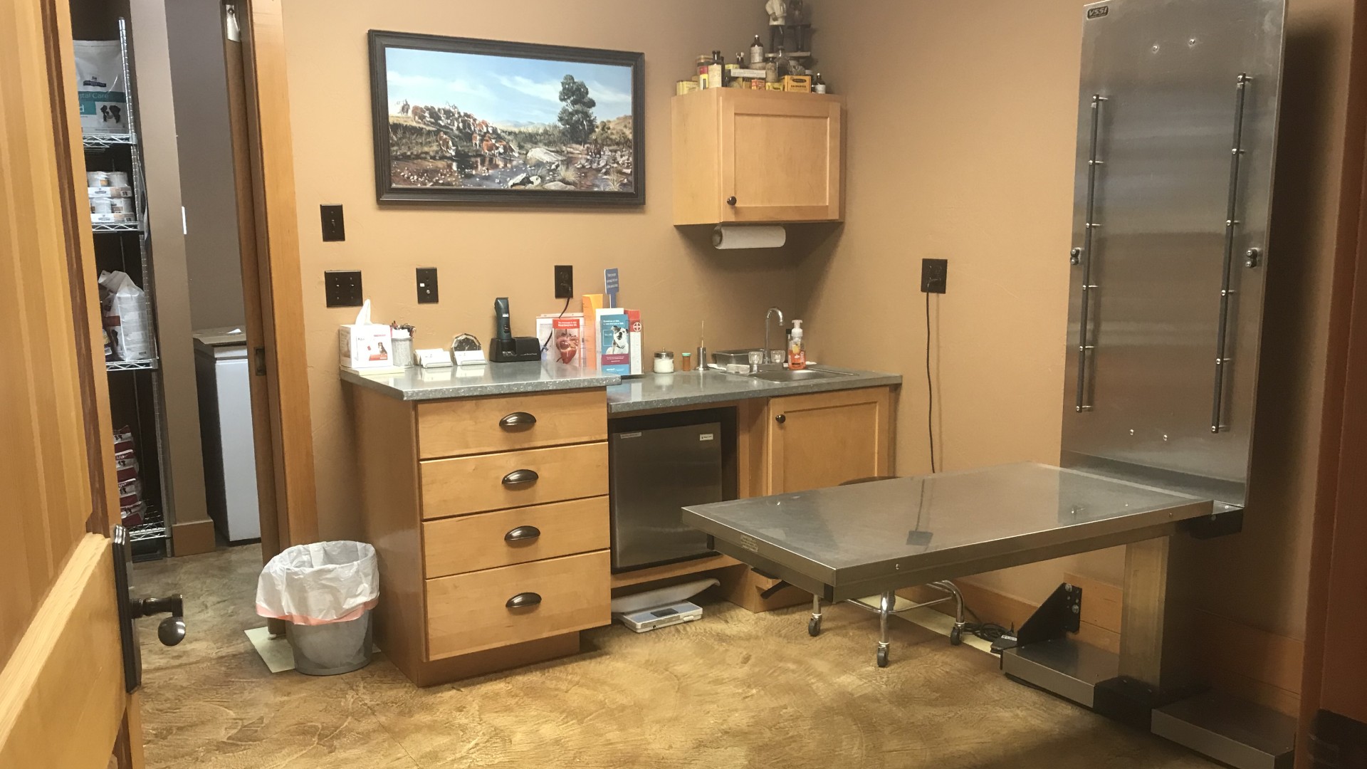 Healdsburg, CA Veterinary Services | Healdsburg Veterinary Hospital